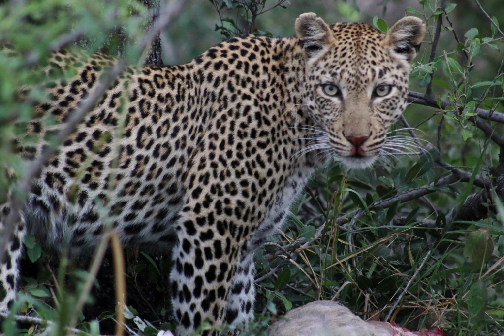 Photography | Displaced Beachbums